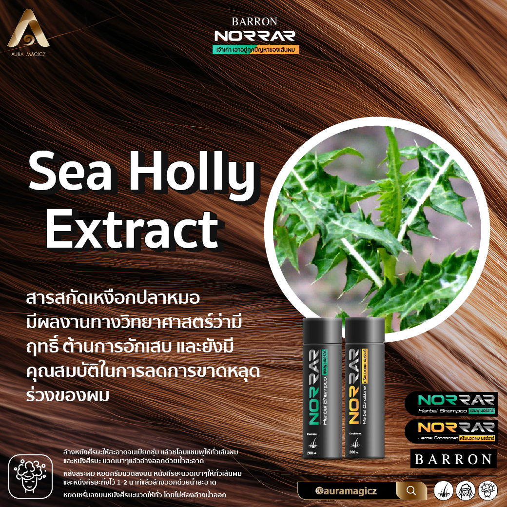 Sea Holly Extract – Auramagicz